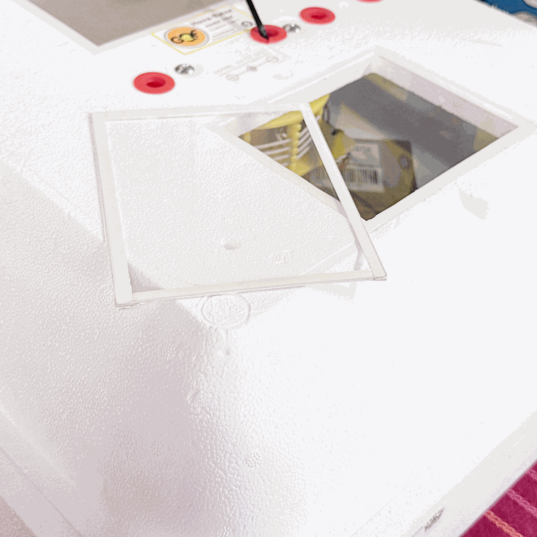 Replacement Window for 1602 and 2362 Hovabator Incubators — Berry Hill