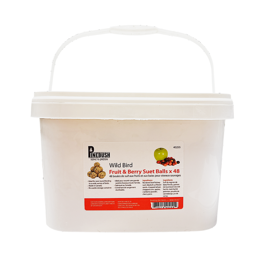 Fruit & Berry Small Suet Balls -Tub of 48 — Berry Hill