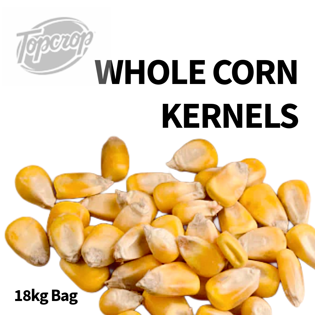 Whole Kernel Corn- 18kg — Berry Hill