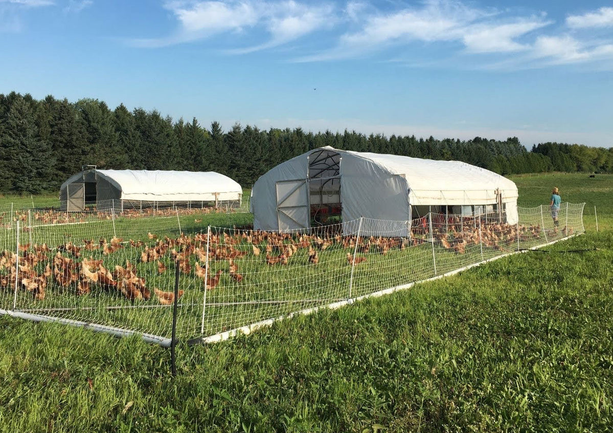 Featherman Prairie Schooner 20'x40' — Berry Hill