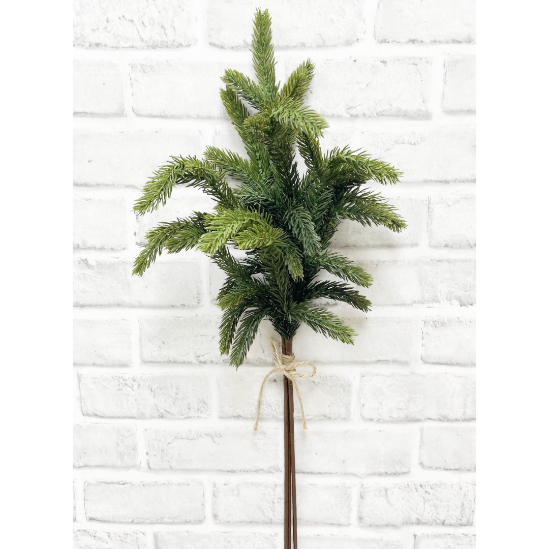 22" Fresh Touch Spruce Bundle - 3 Stems — Berry Hill